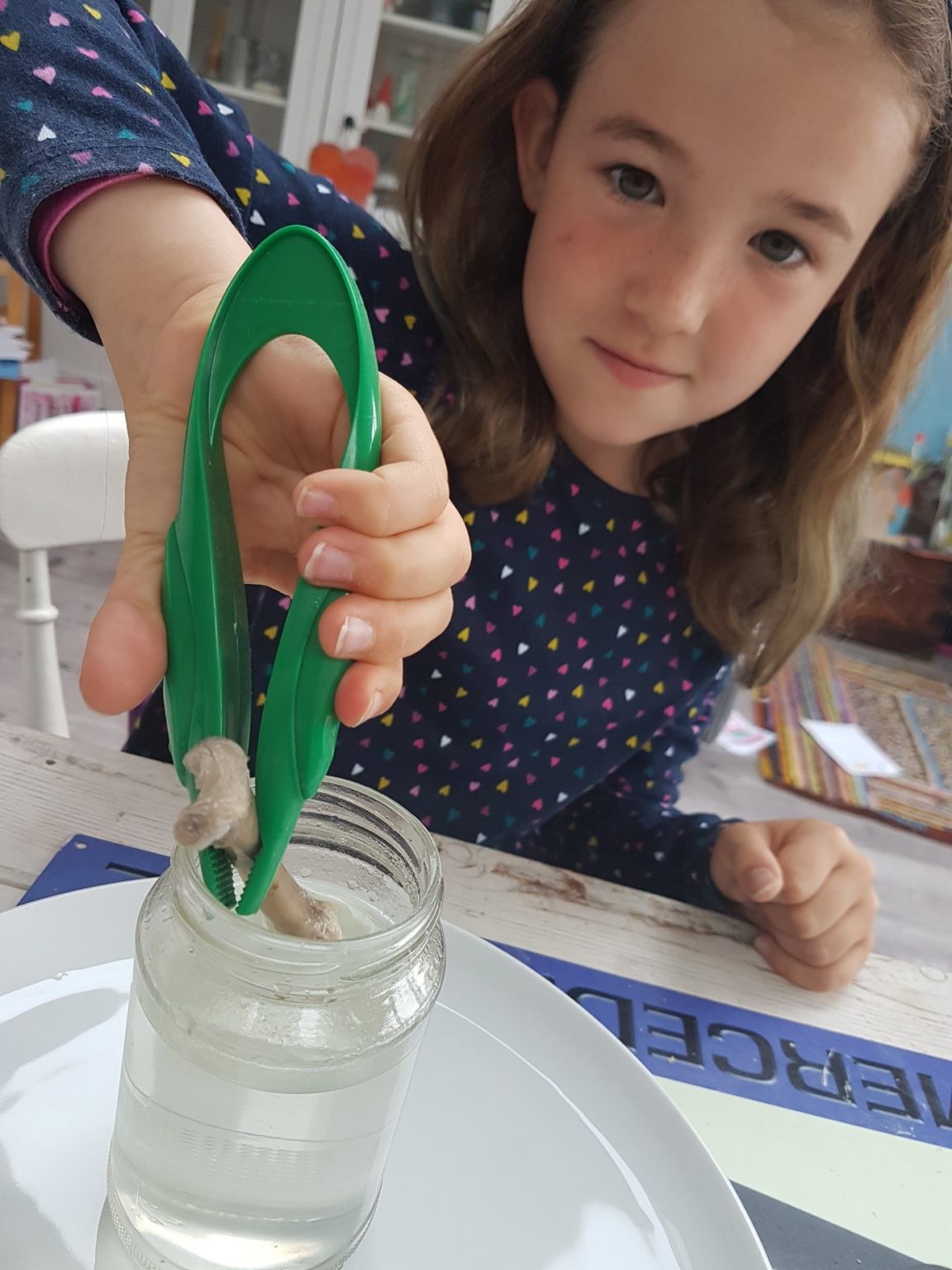 More store cupboard science ideas - fizzy fun, invisible cola & bendy ...