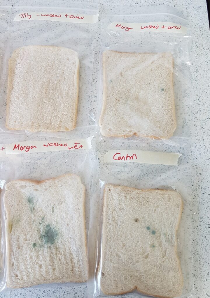 Store cupboard science - festering bread, sugar and exploding bags ...