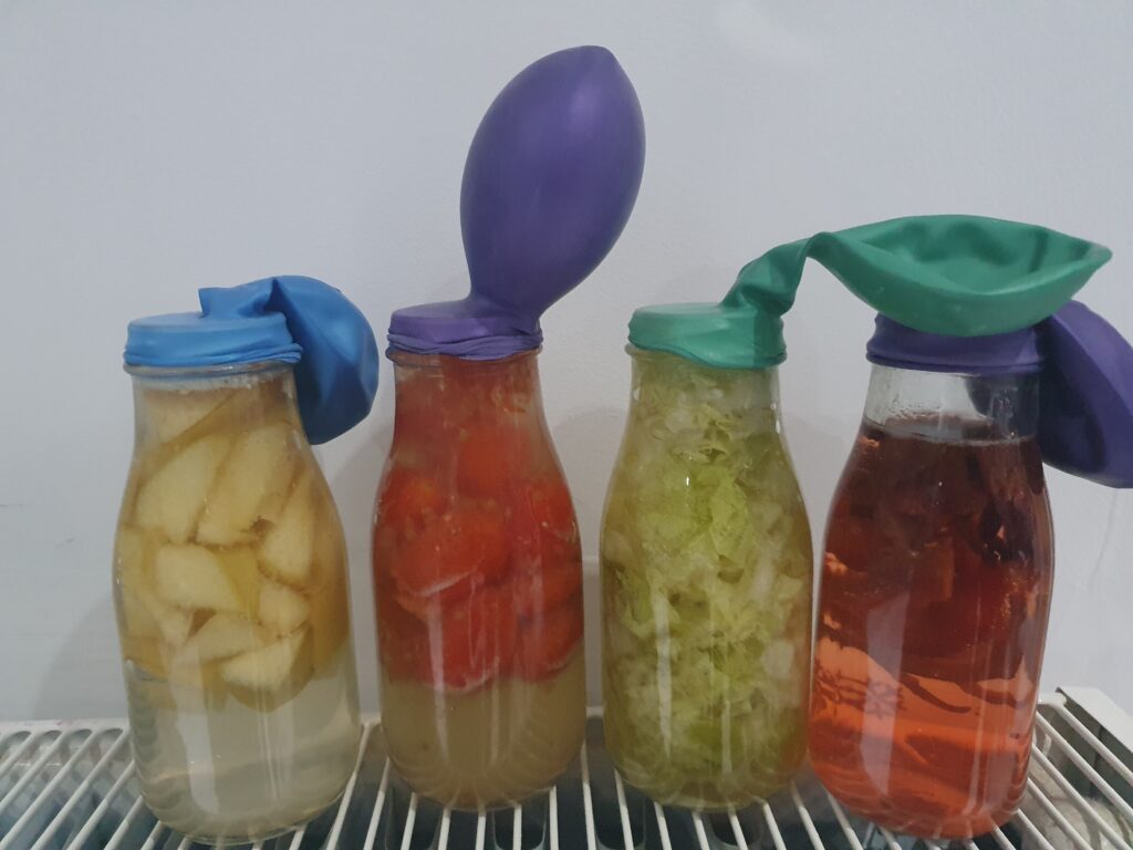 Food waste to landfill experiment (6) - Chilled Education