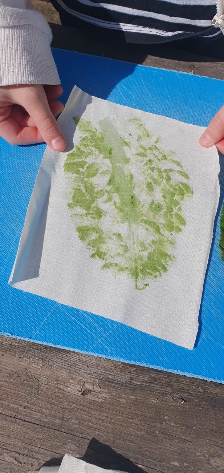 Store Cupboard Science - Smashing Chlorophyll! - Chilled Education